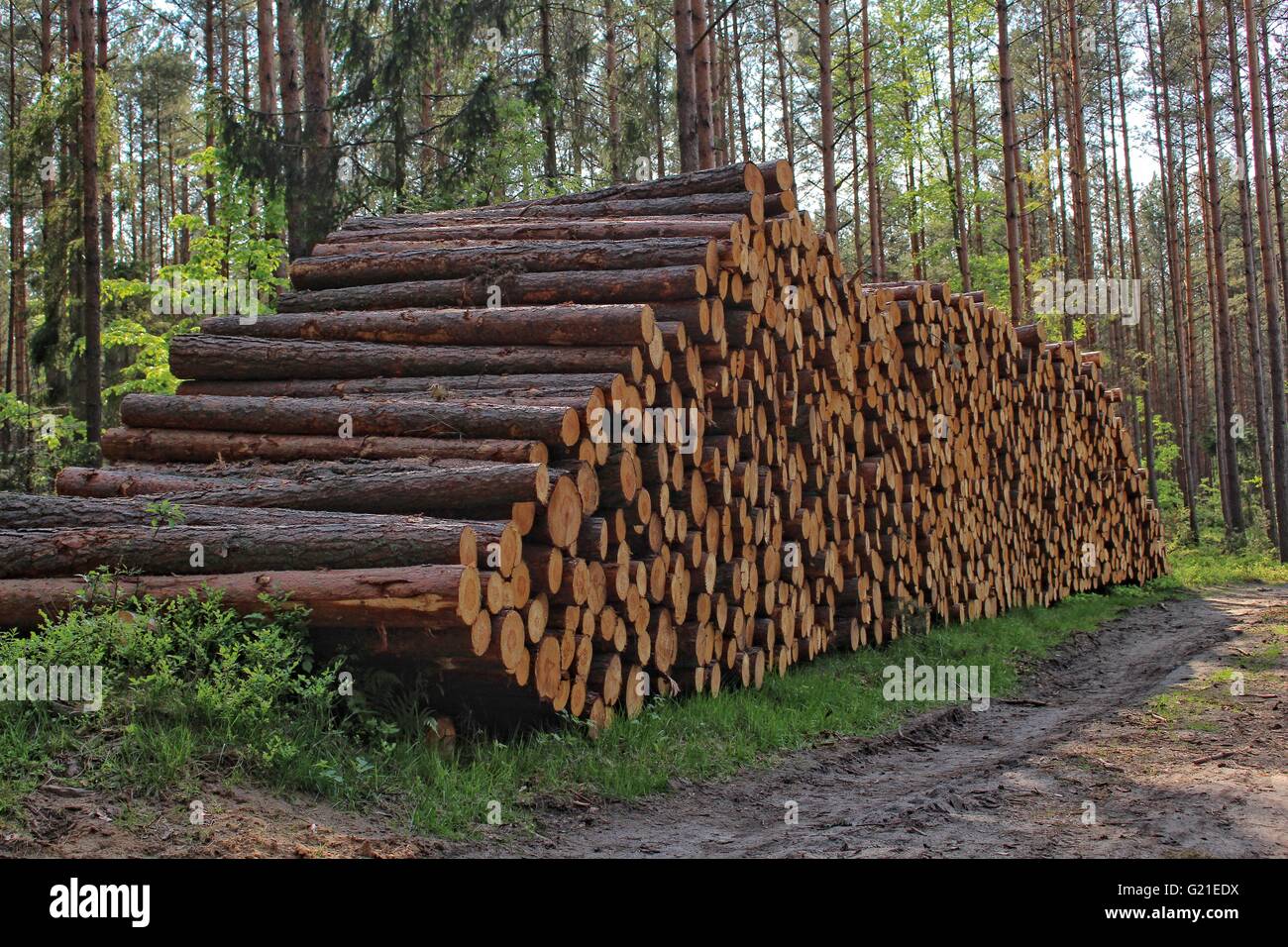 Sulmin, Poland. 22nd May, 2016. Polish Ministry of the Environment ...