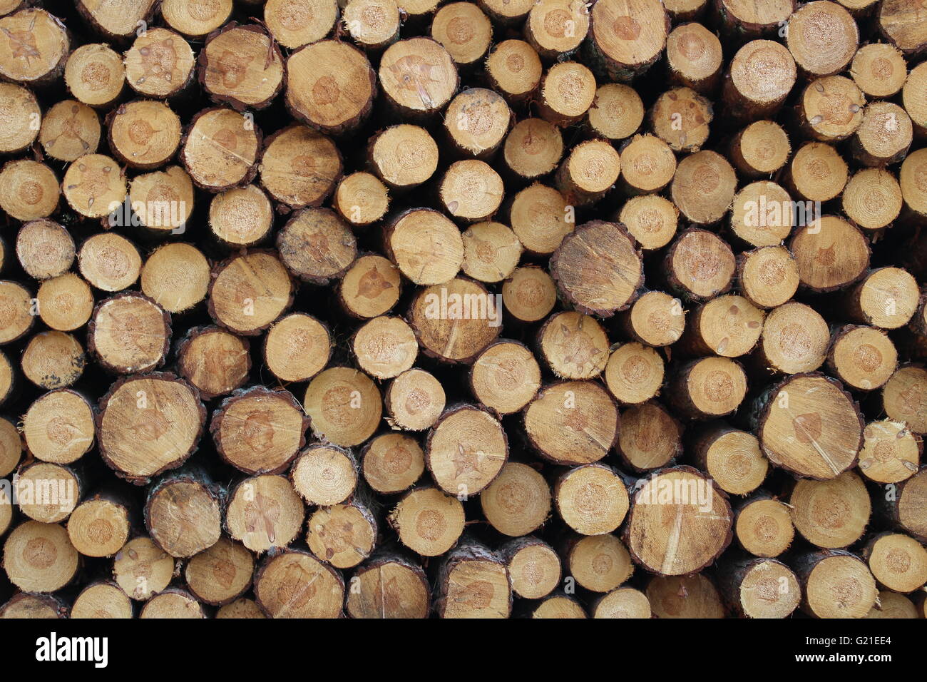 Sulmin, Poland. 22nd May, 2016. Polish Ministry of the Environment ...