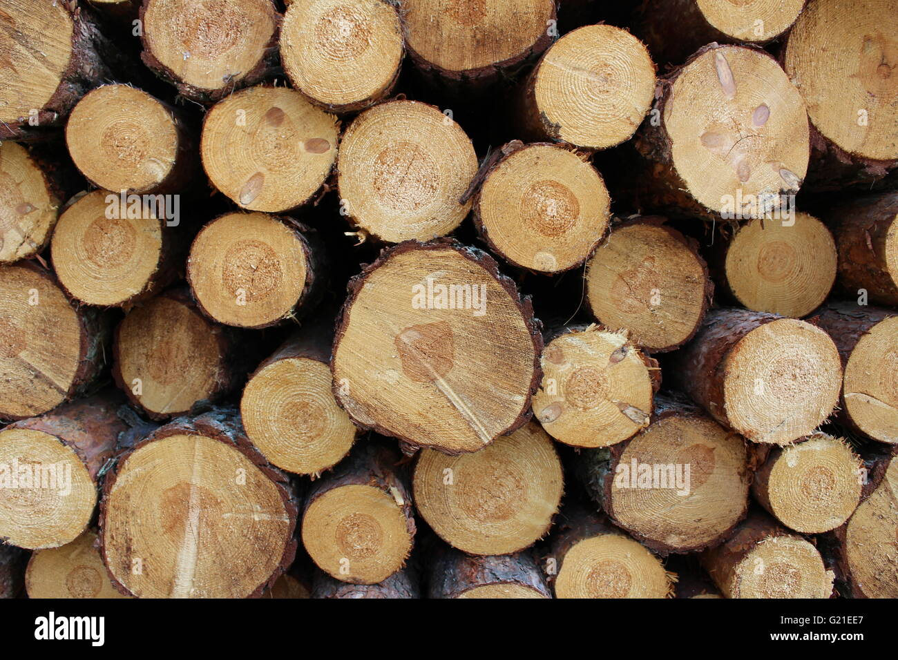 Sulmin, Poland. 22nd May, 2016. Polish Ministry of the Environment ...