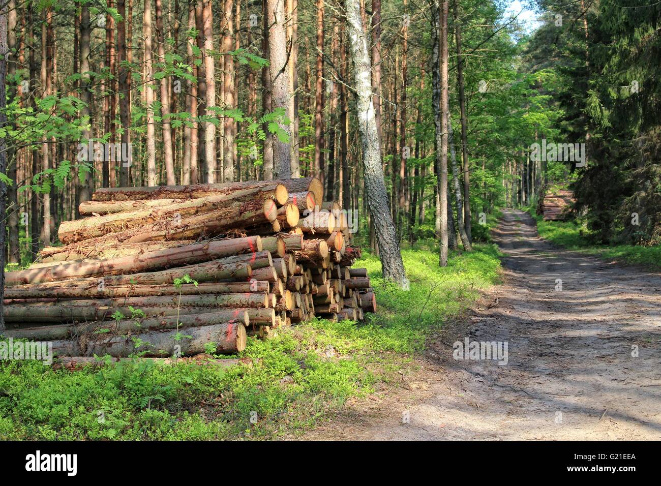 Sulmin, Poland. 22nd May, 2016. Polish Ministry of the Environment ...
