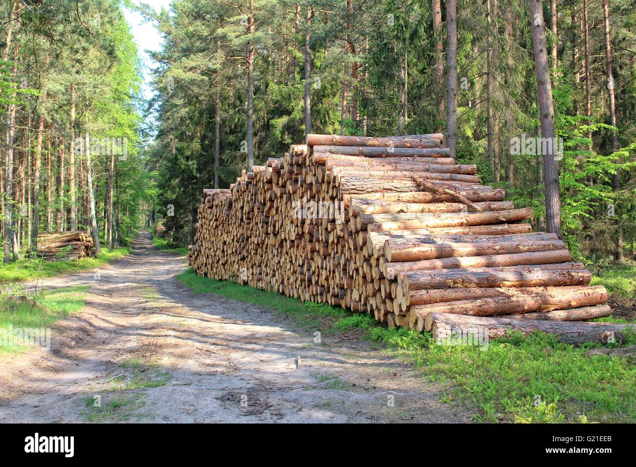 Sulmin, Poland. 22nd May, 2016. Polish Ministry of the Environment ...