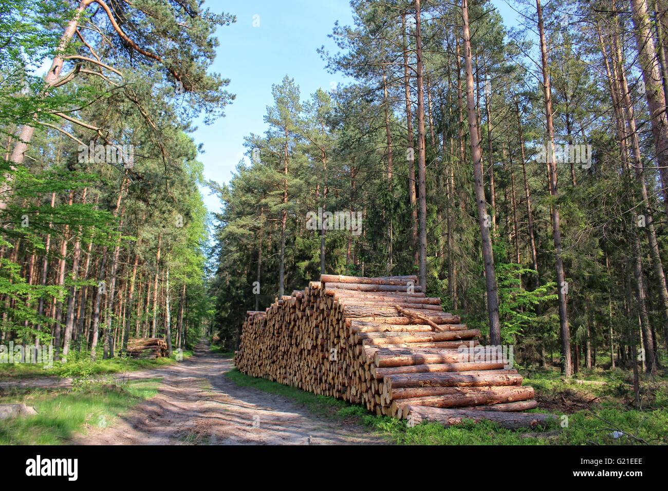 Sulmin, Poland. 22nd May, 2016. Polish Ministry of the Environment ...