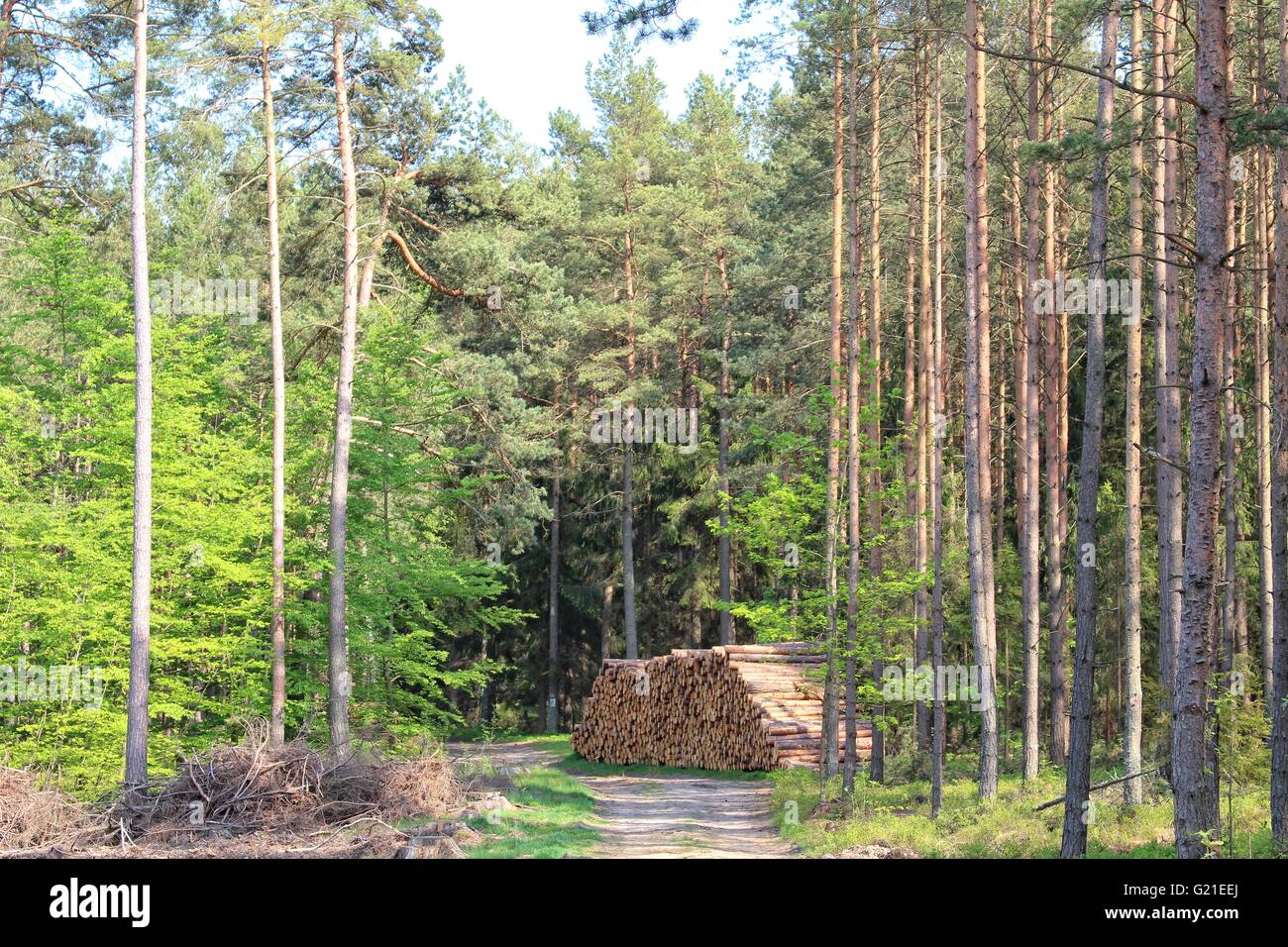 Sulmin, Poland. 22nd May, 2016. Polish Ministry of the Environment ...