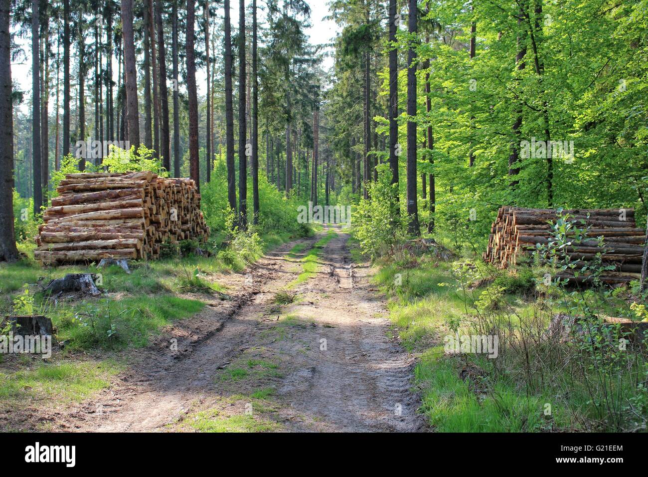 Sulmin, Poland. 22nd May, 2016. Polish Ministry of the Environment ...
