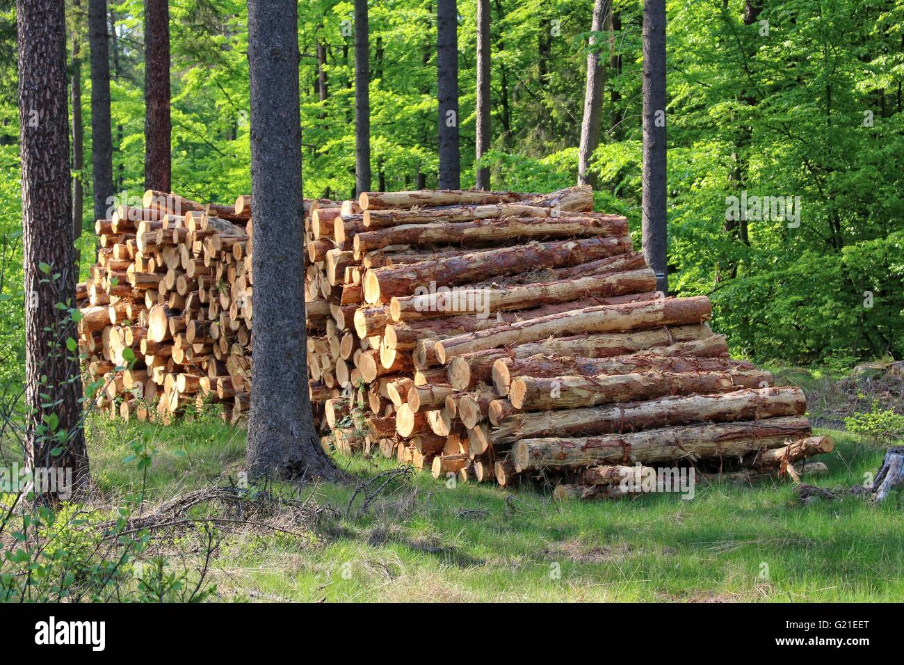 Sulmin, Poland. 22nd May, 2016. Polish Ministry of the Environment ...