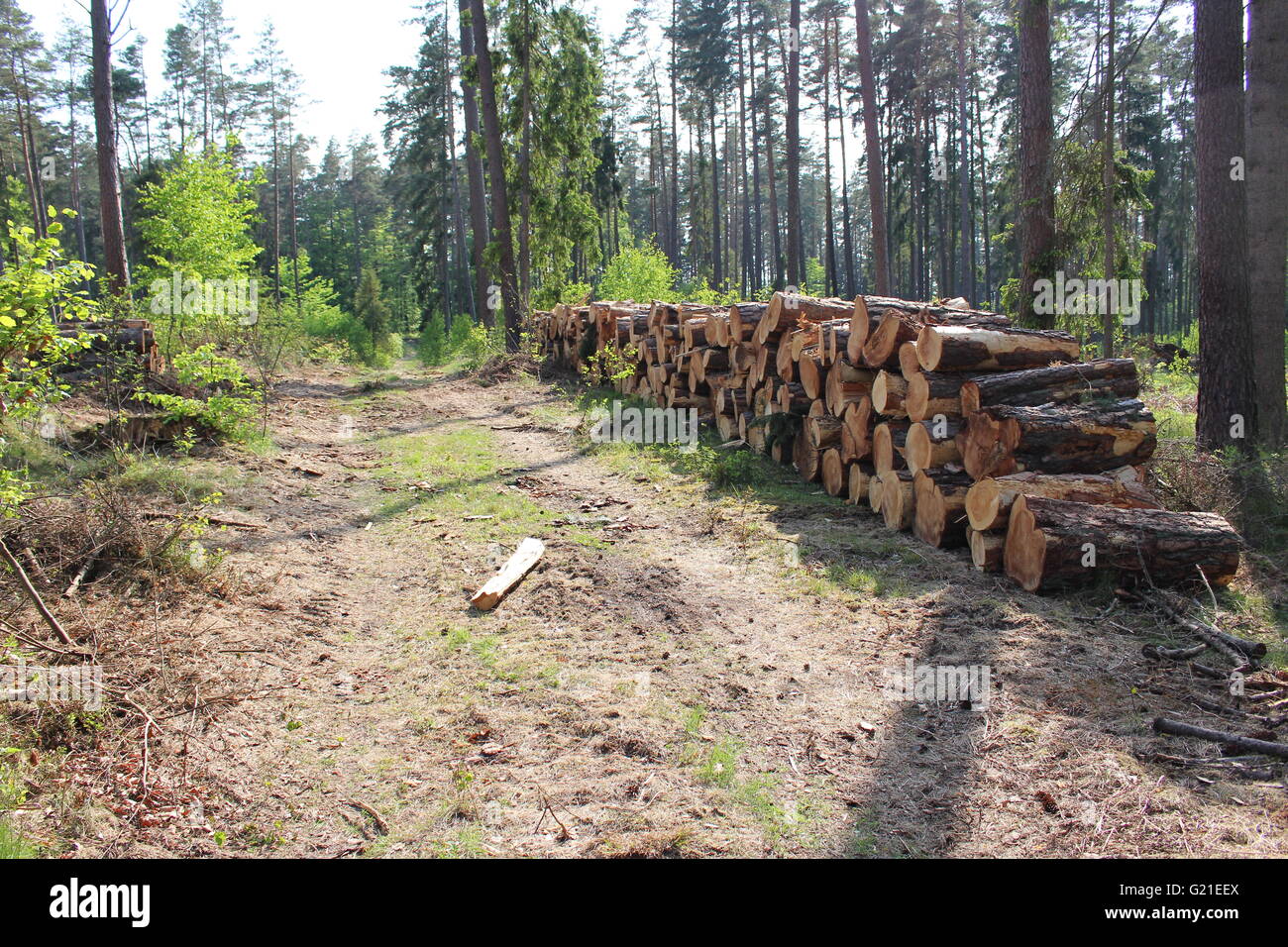 Sulmin, Poland. 22nd May, 2016. Polish Ministry of the Environment ...
