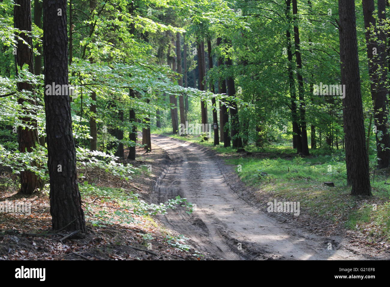 Sulmin, Poland. 22nd May, 2016. Polish Ministry of the Environment ...