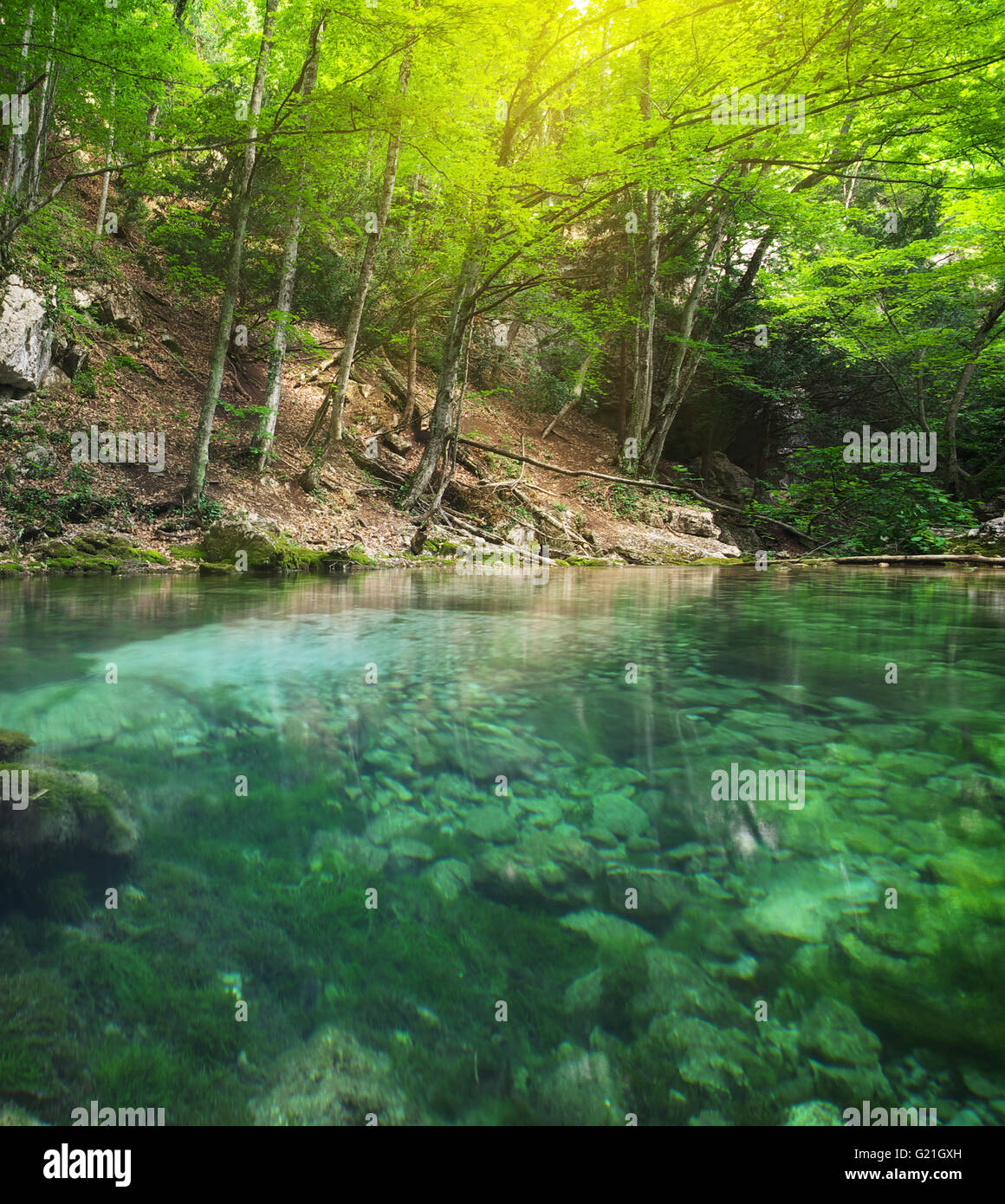River deep in mountain forest hi-res stock photography and images - Alamy