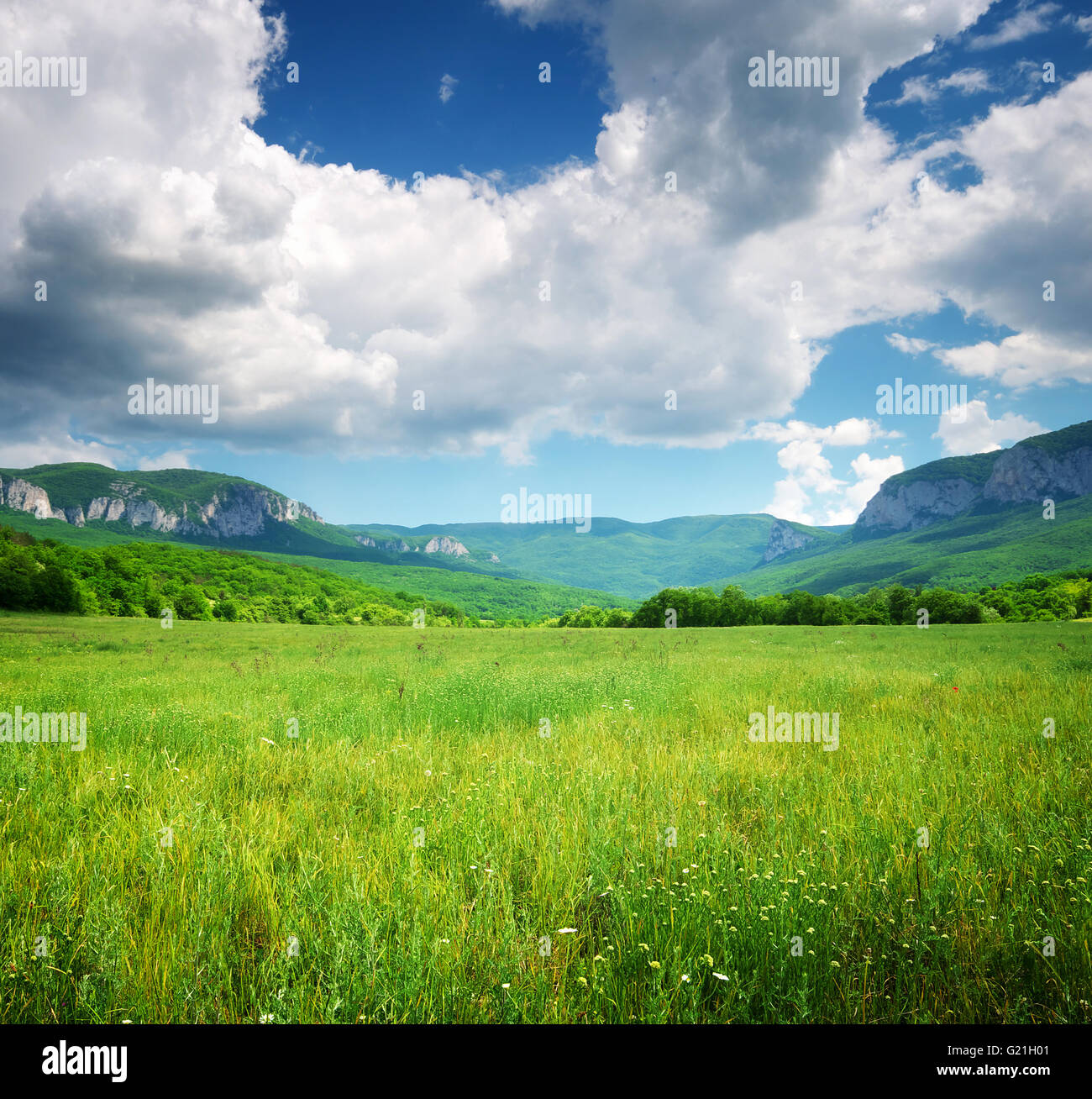 Meadow with mountain hi-res stock photography and images - Alamy