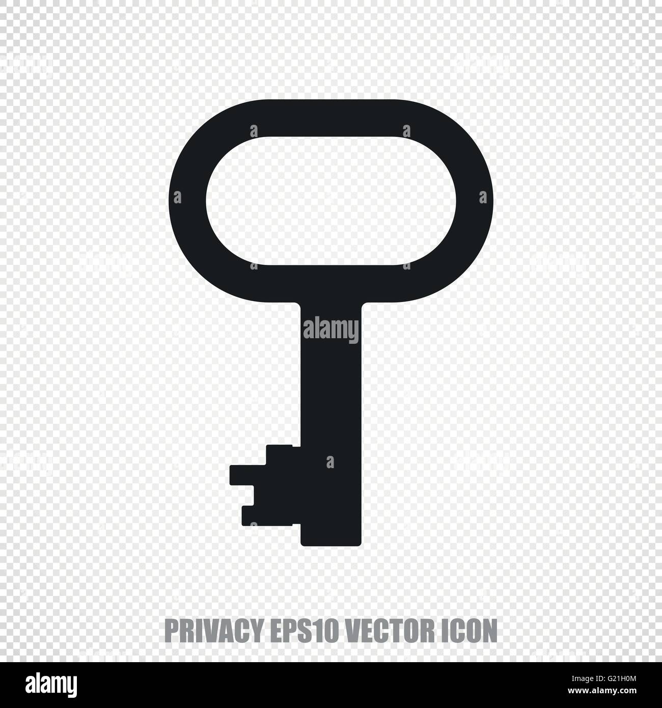 Privacy vector Key icon. Modern flat design Stock Vector Image & Art ...