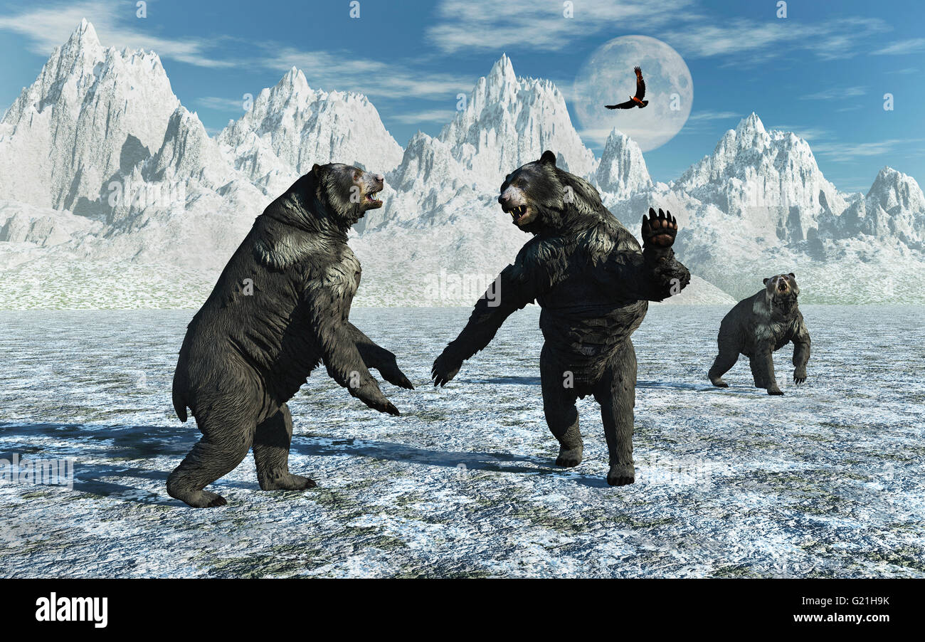 Arctodus Bears , Also Known As Short-Faced Bears . Involved In A Stock ...