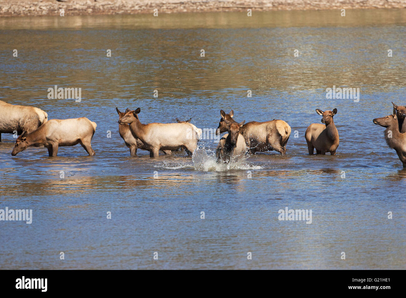 Spalshing water hi-res stock photography and images - Alamy