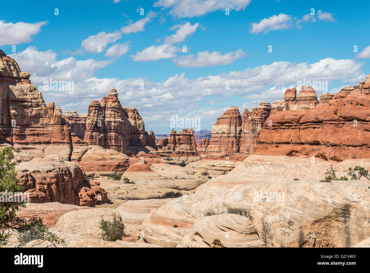 Pinnacles, rocky plateau, rock formations The Needles District ...