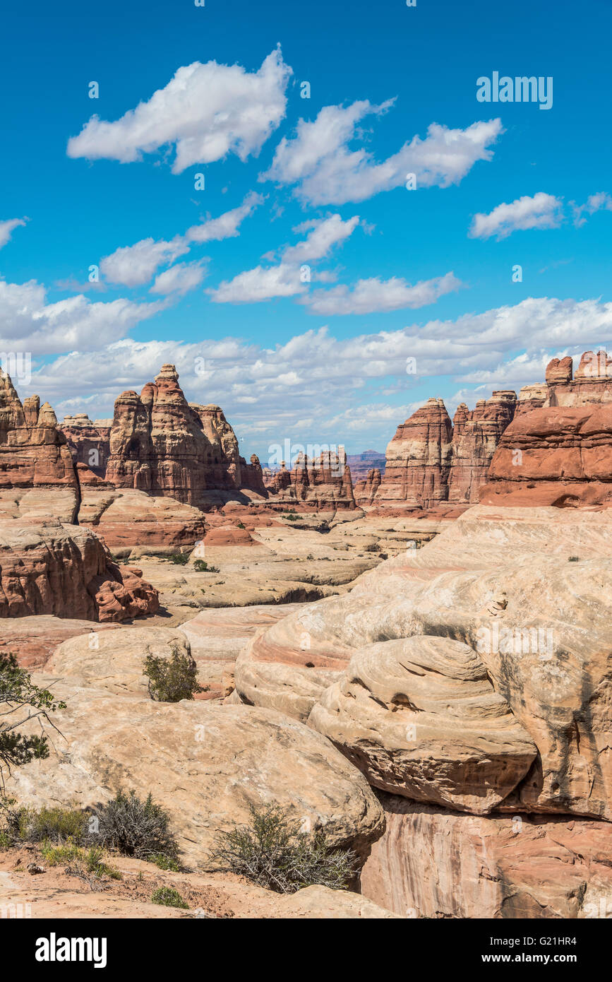 Pinnacles, rocky plateau, rock formations The Needles District ...