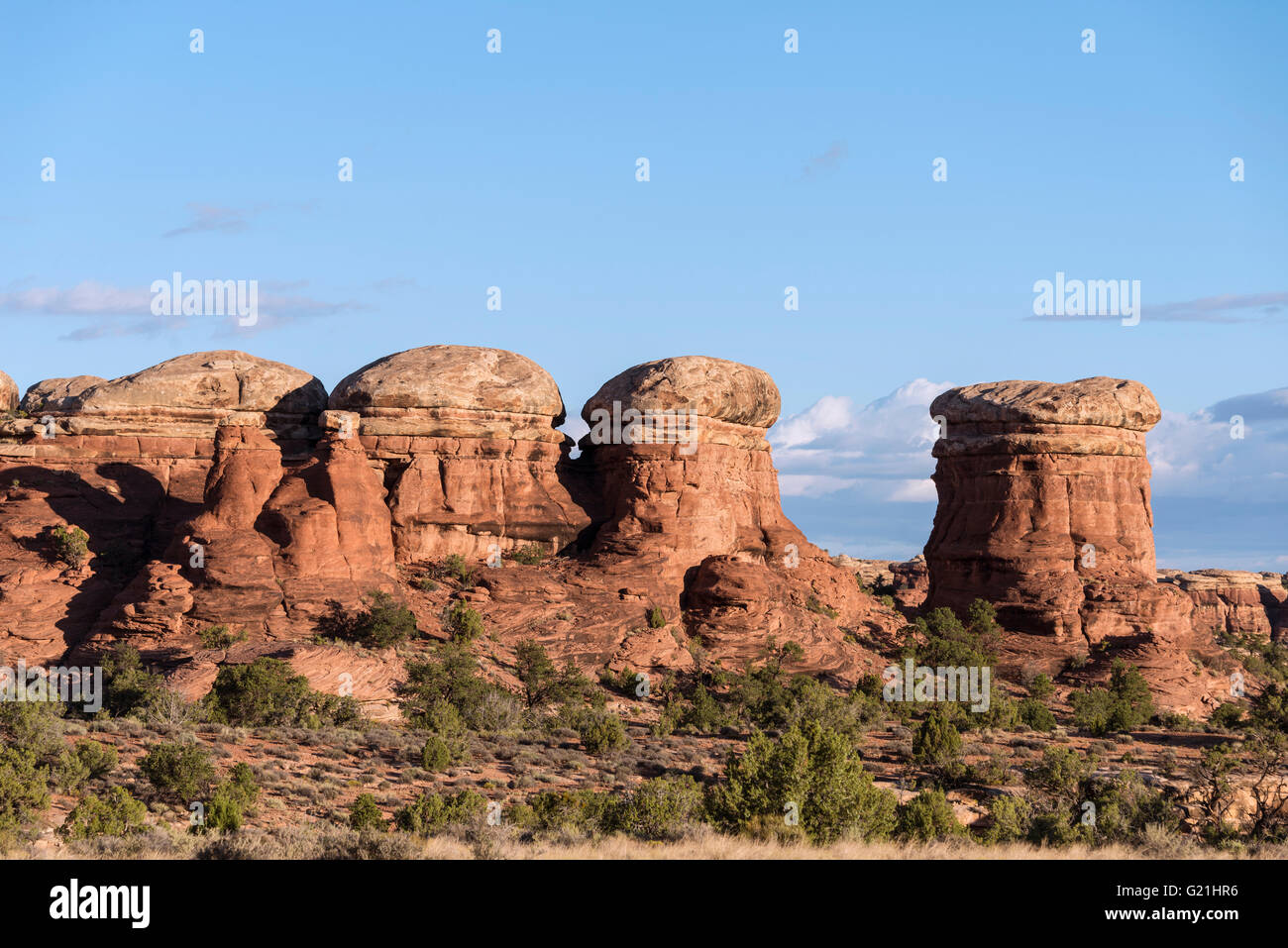 Plateau, rock formations The Needles District, Canyonlands National ...