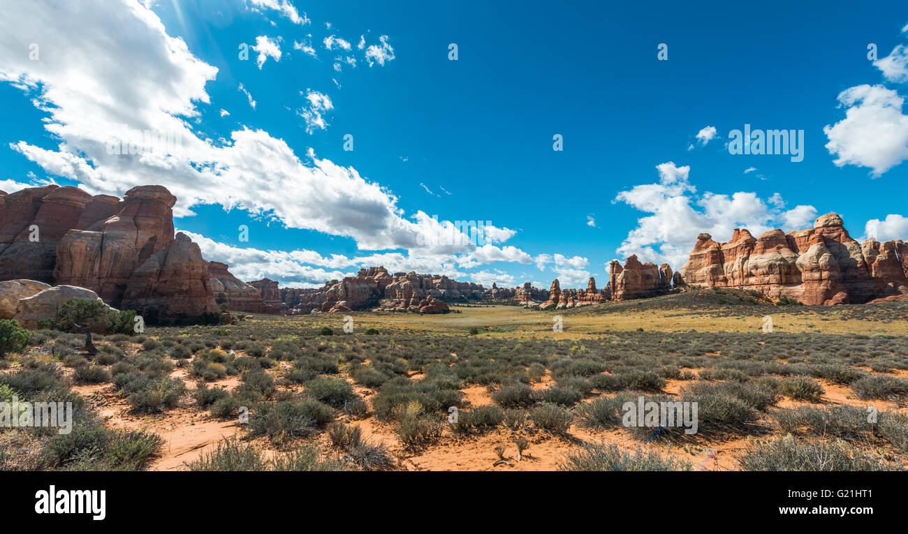 Rock formations ,The Needles District, Canyonlands National Park, Utah ...