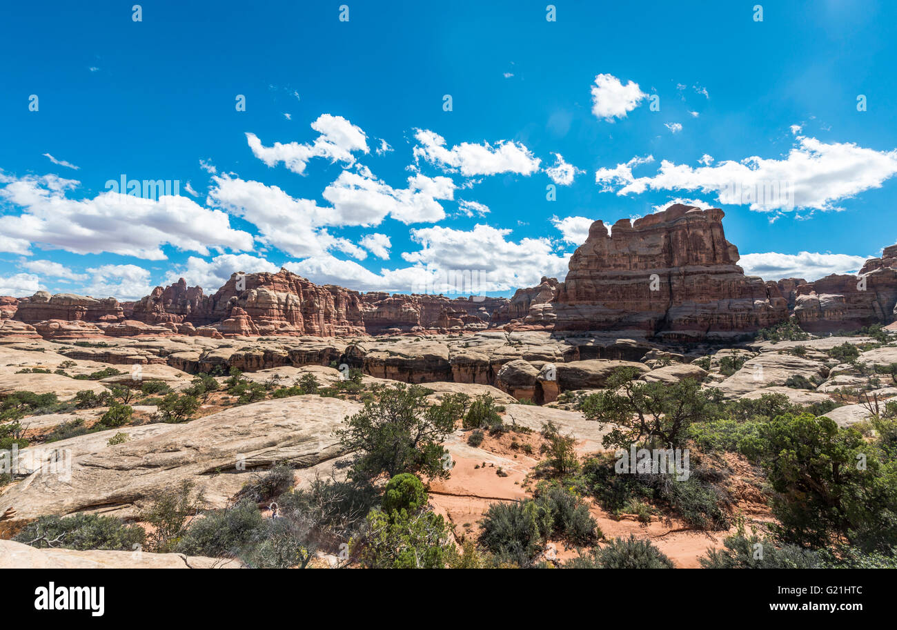 Pinnacles, rocky plateau, rock formations The Needles District ...