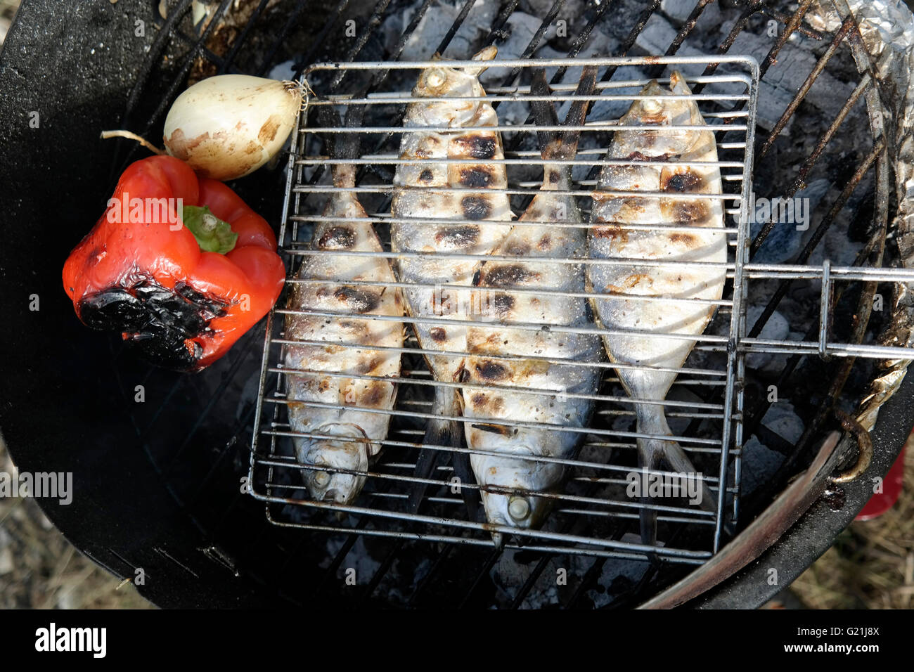 Onion fish hi-res stock photography and images - Alamy