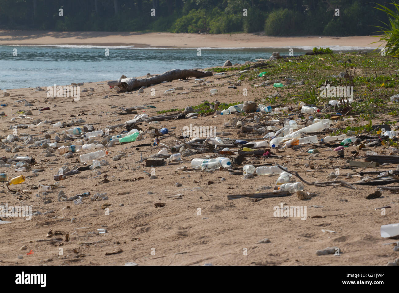Pollution of coastal ecosystems, natural plastic and beaches Stock ...