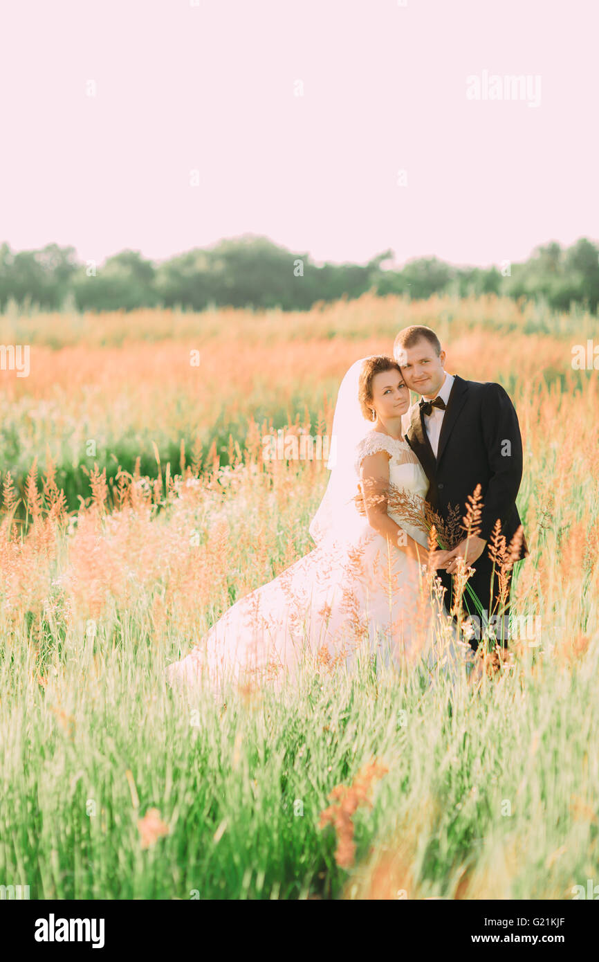 Young beautiful wedding couple hugging in a field with grass eared ...