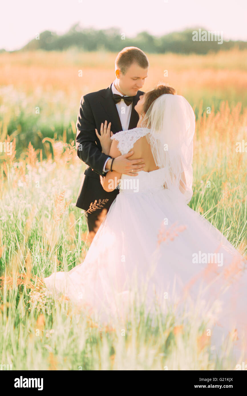 Young beautiful wedding couple hugging in a field with grass eared ...