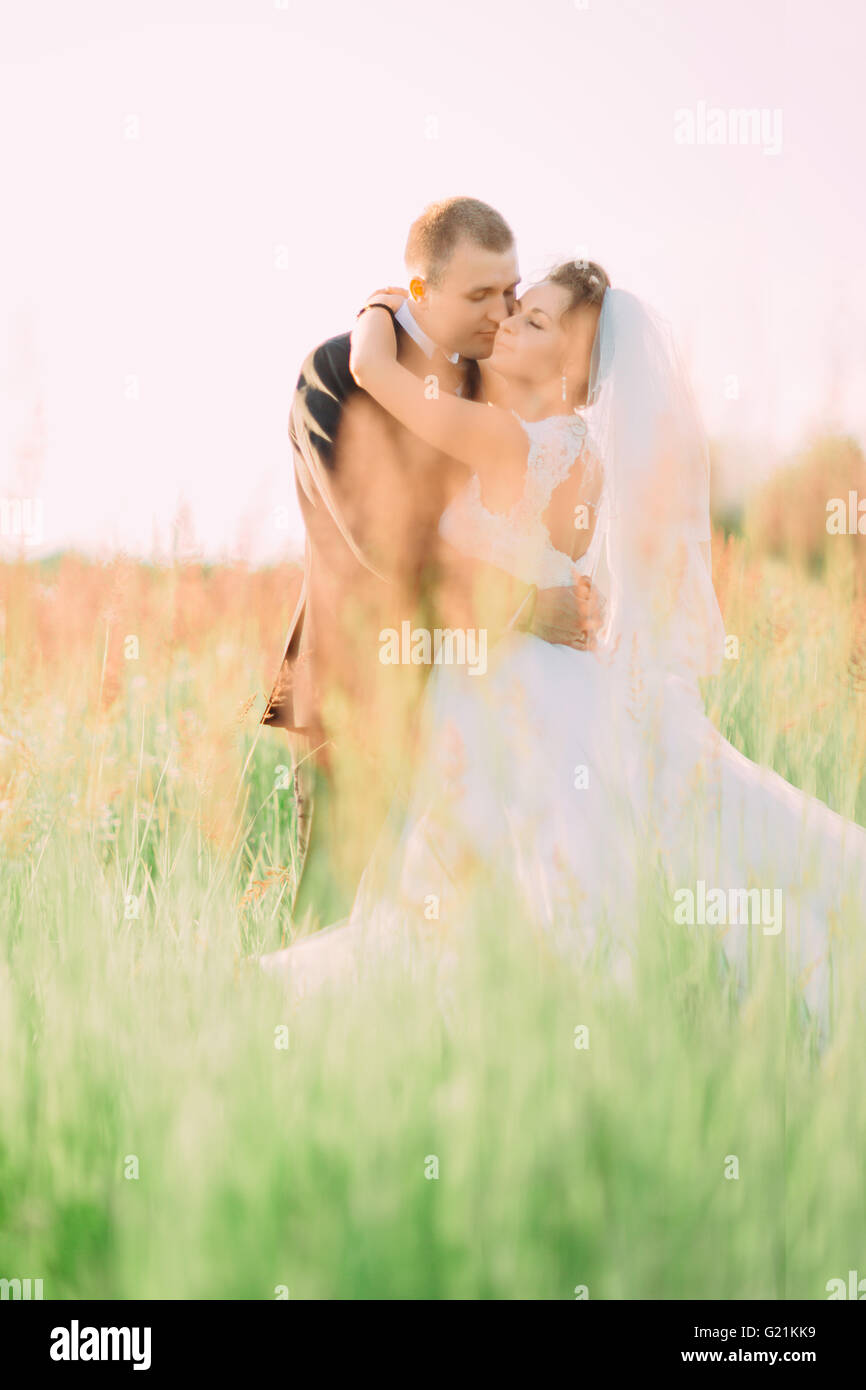 Young beautiful wedding couple hugging in a field with grass eared ...