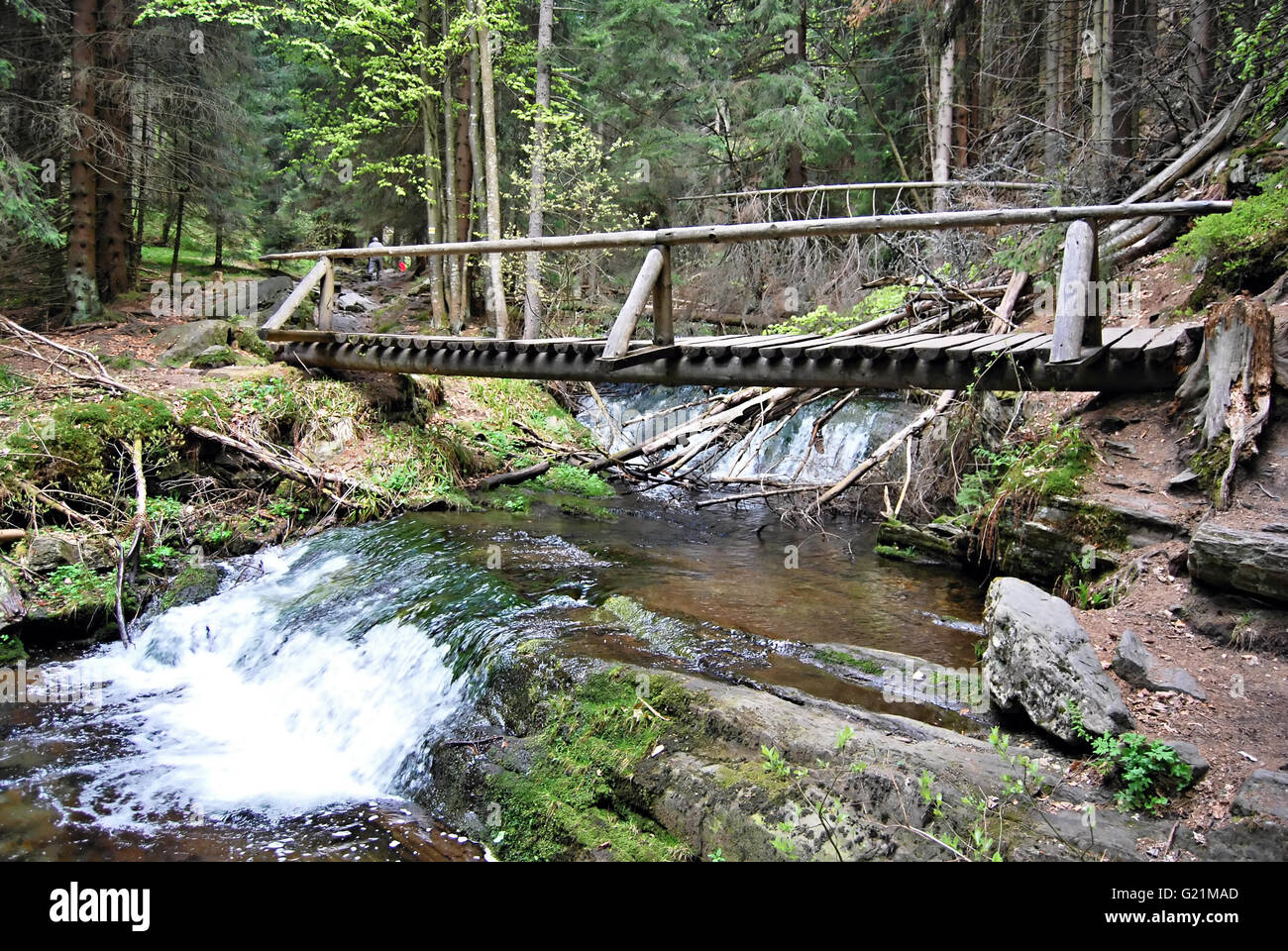 Bila Opava mountain river with waterfalls and wooden bridge on hiking ...