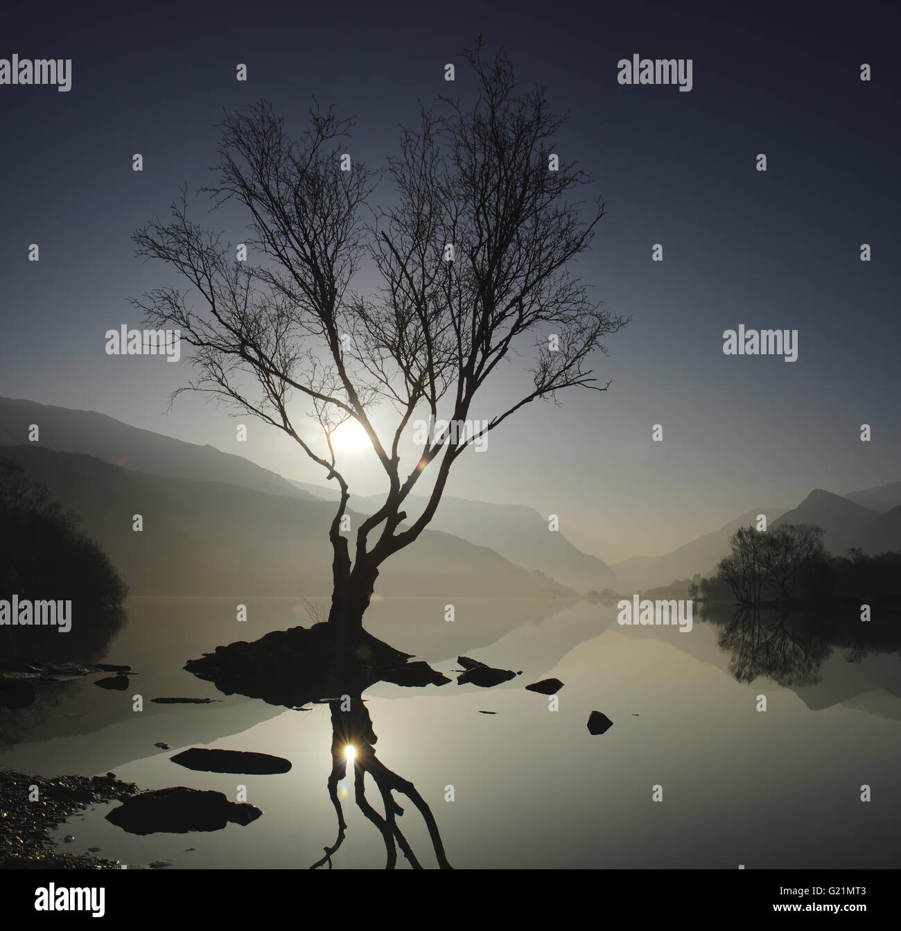 Lonely tree llyn padarn hi-res stock photography and images - Alamy