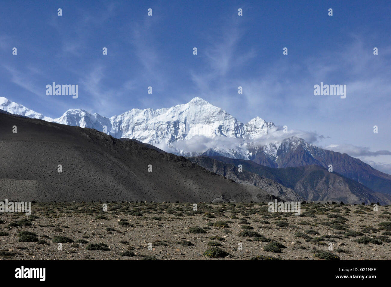Nepal, Mustang, landscape Stock Photo - Alamy