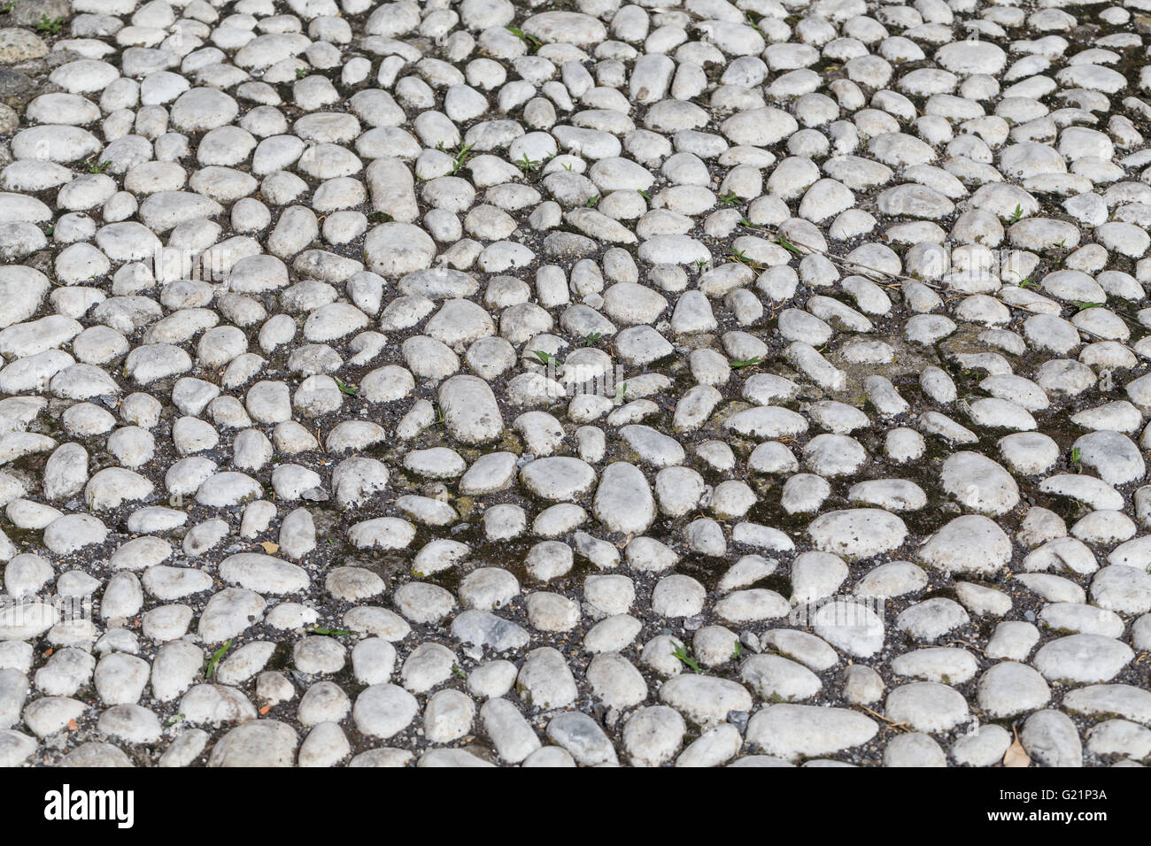 Round cobblestones hi-res stock photography and images - Alamy