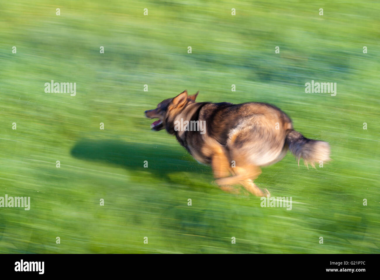 Run effect hi-res stock photography and images - Alamy