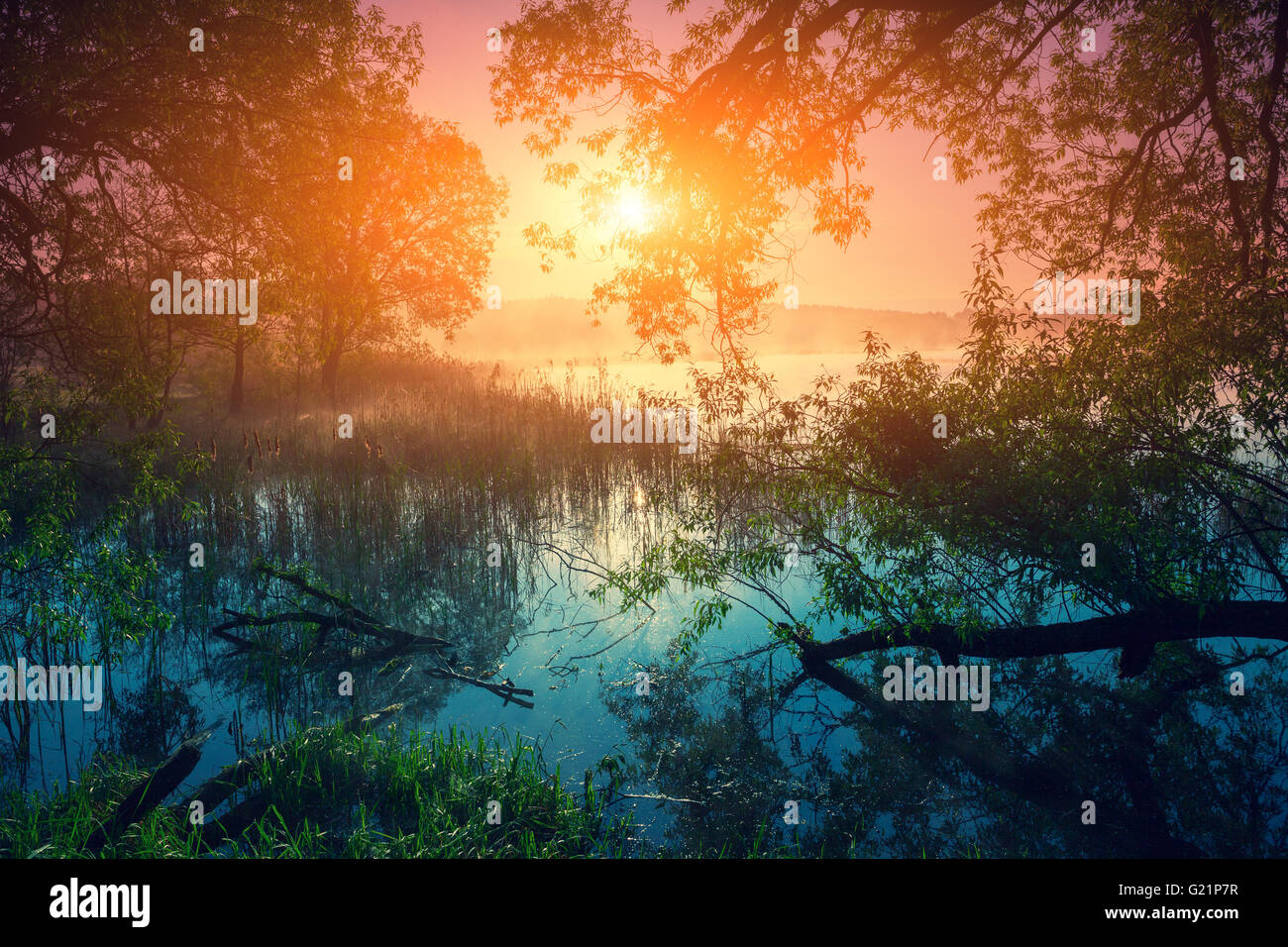 Landscape misty morning sunrise hi-res stock photography and images - Alamy