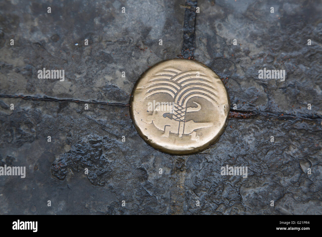 City Symbol outside City Hall, Nimes, France Stock Photo - Alamy