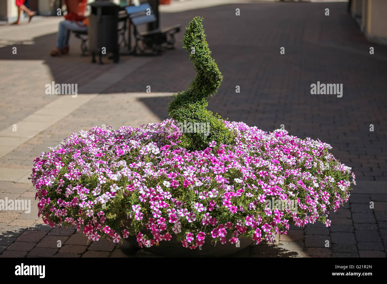 Round flower bed hi-res stock photography and images - Alamy