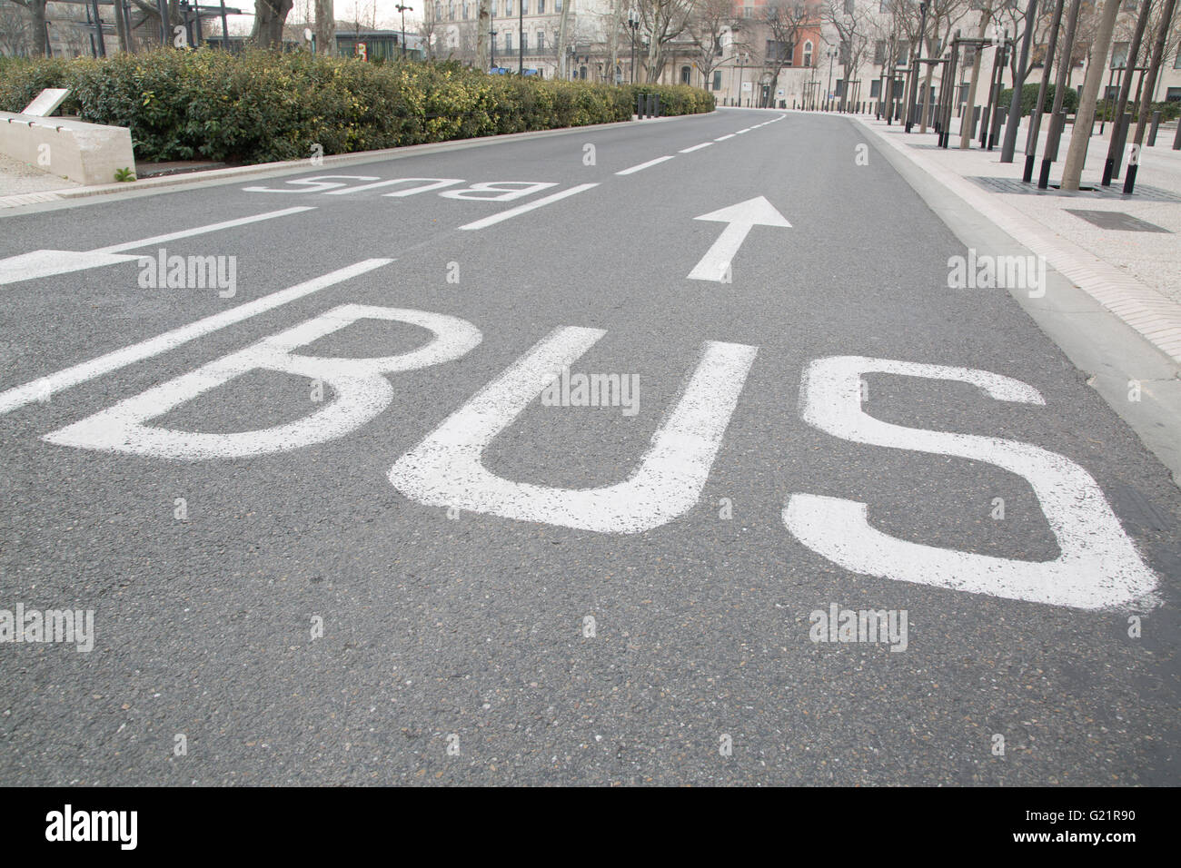 Bus Lane Arrow in Urban Setting Stock Photo - Alamy