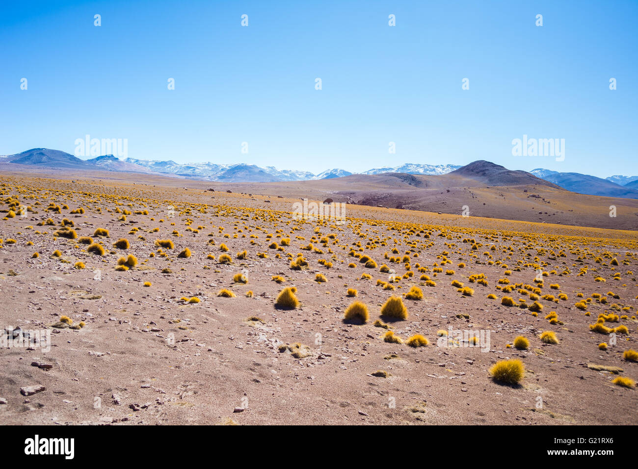 High altitude barren highlands of the Andes, among the most important ...