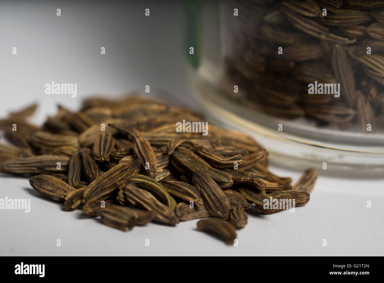 Mexico and india hi-res stock photography and images - Alamy