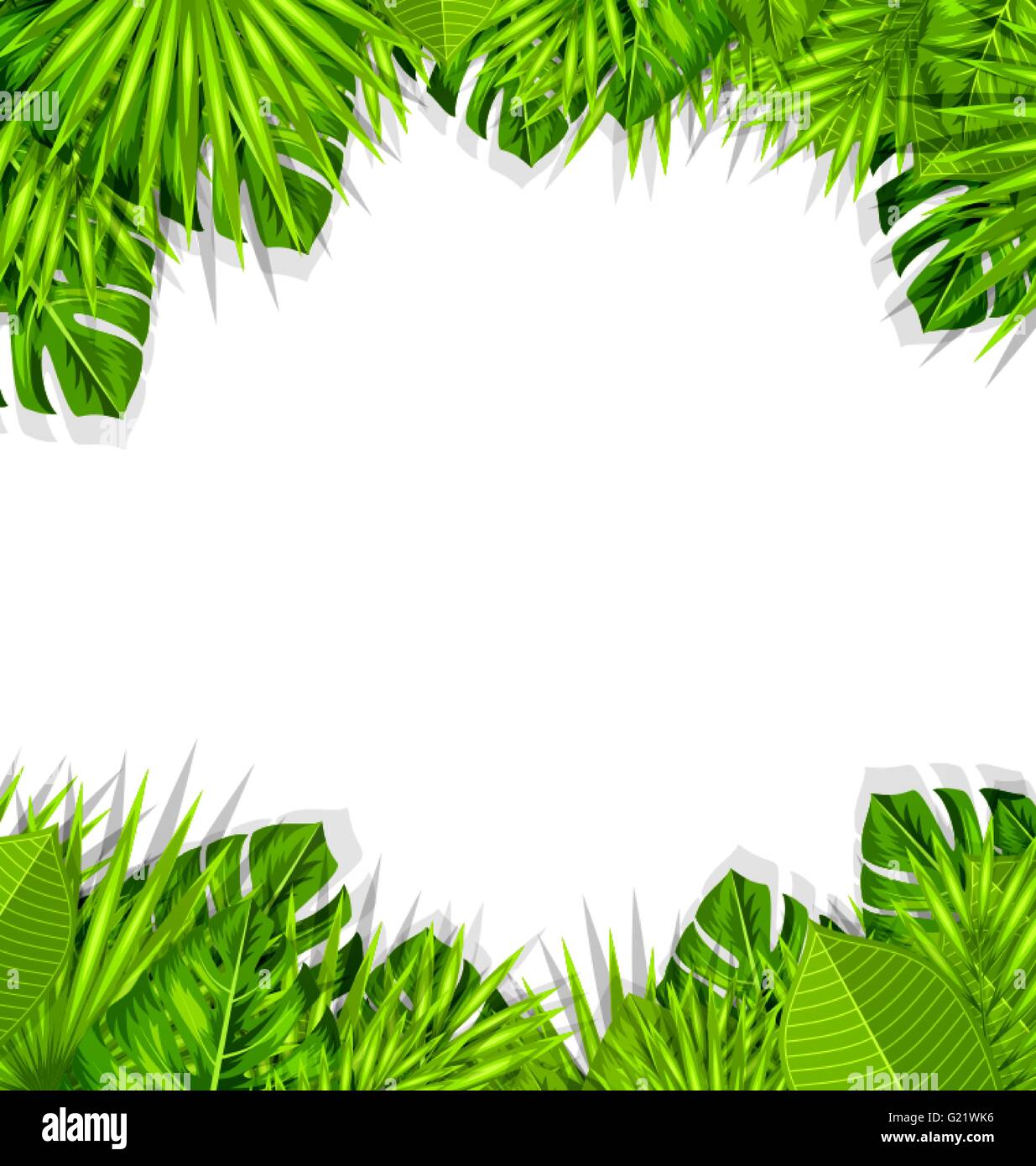 Summer Fresh Background with Tropical Leaves Stock Vector Image & Art ...