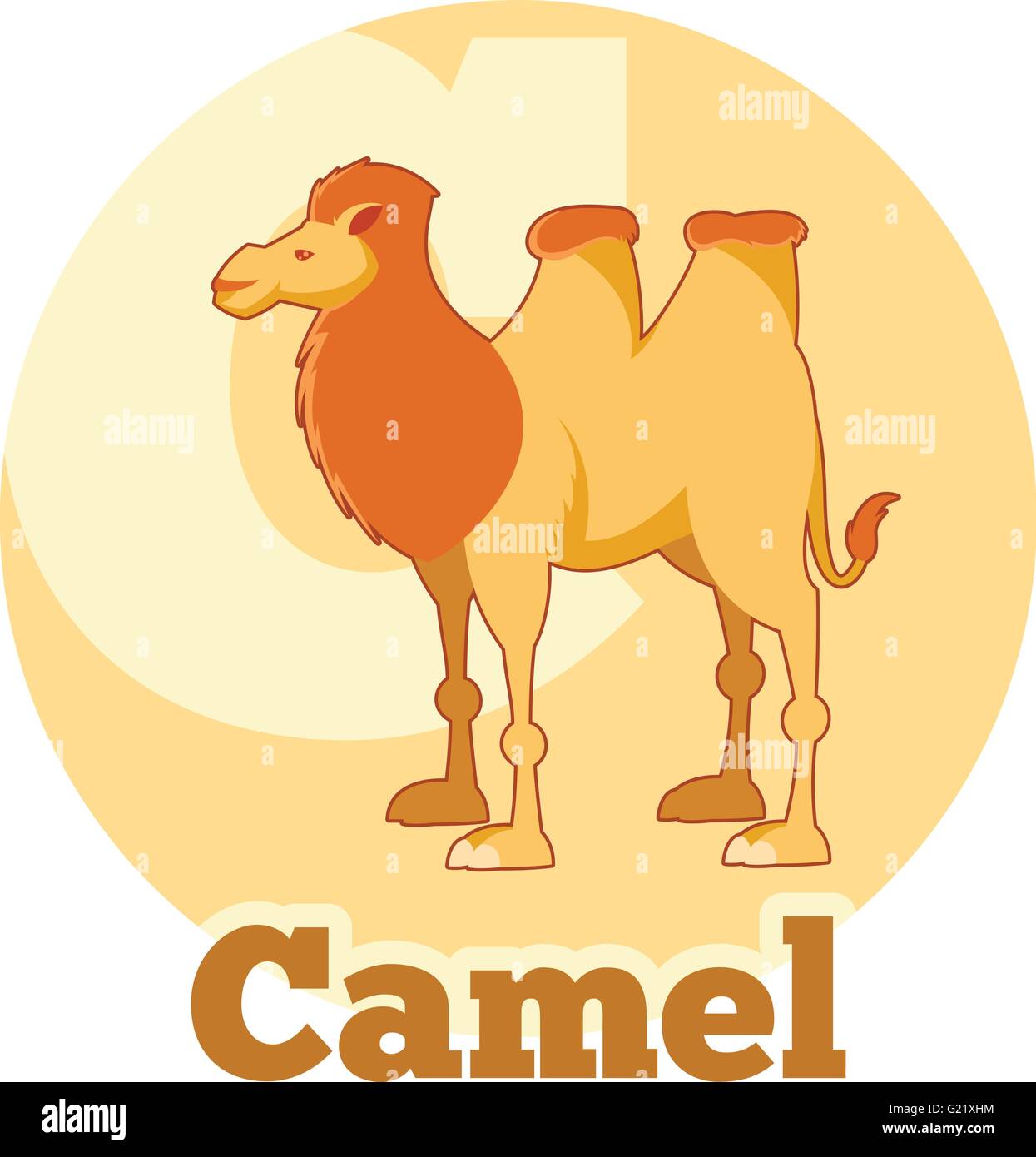 ABC Cartoon Camel2 Stock Vector Image & Art - Alamy