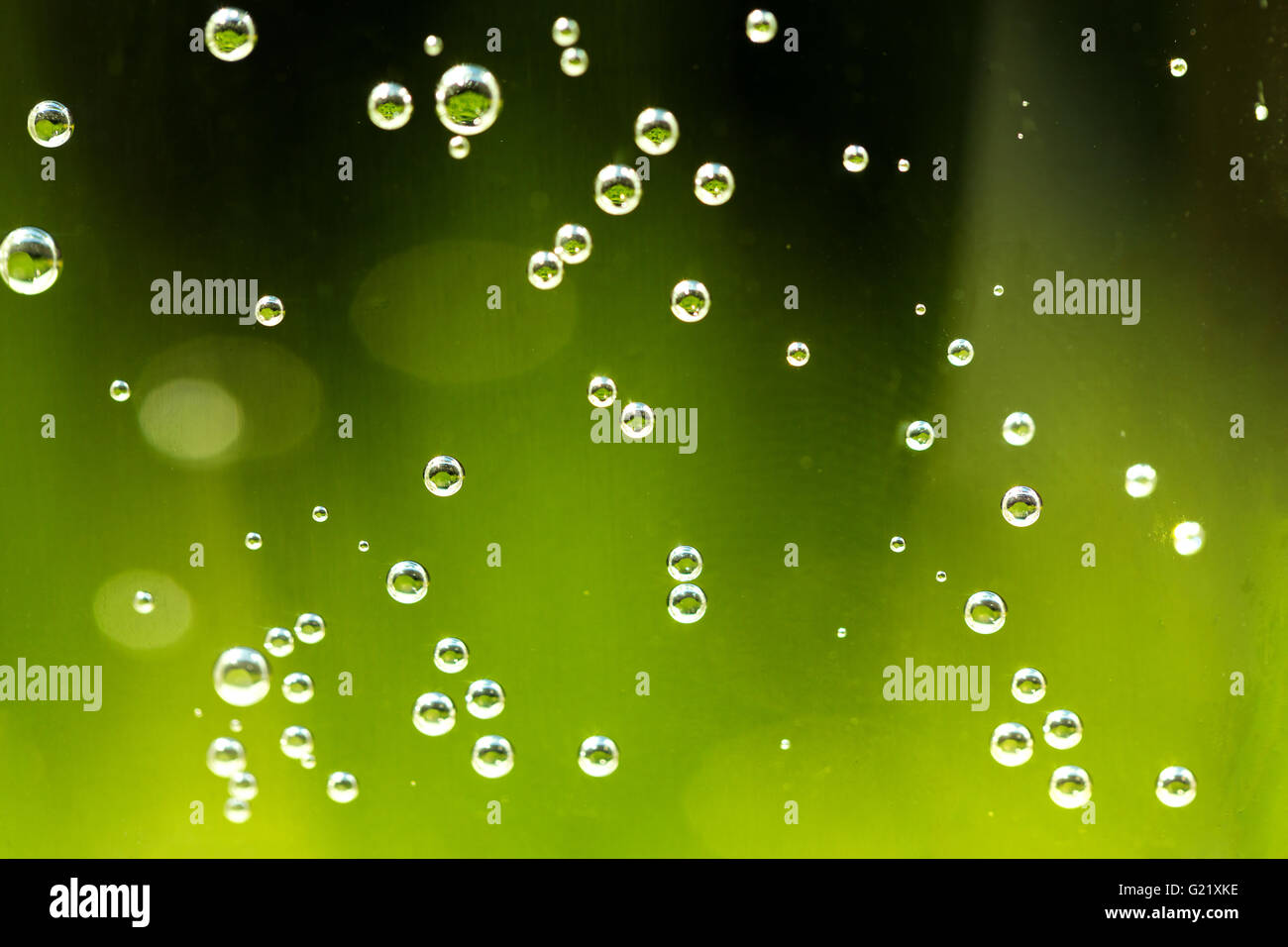 green abstract background with sparkle water drops on glass for ...
