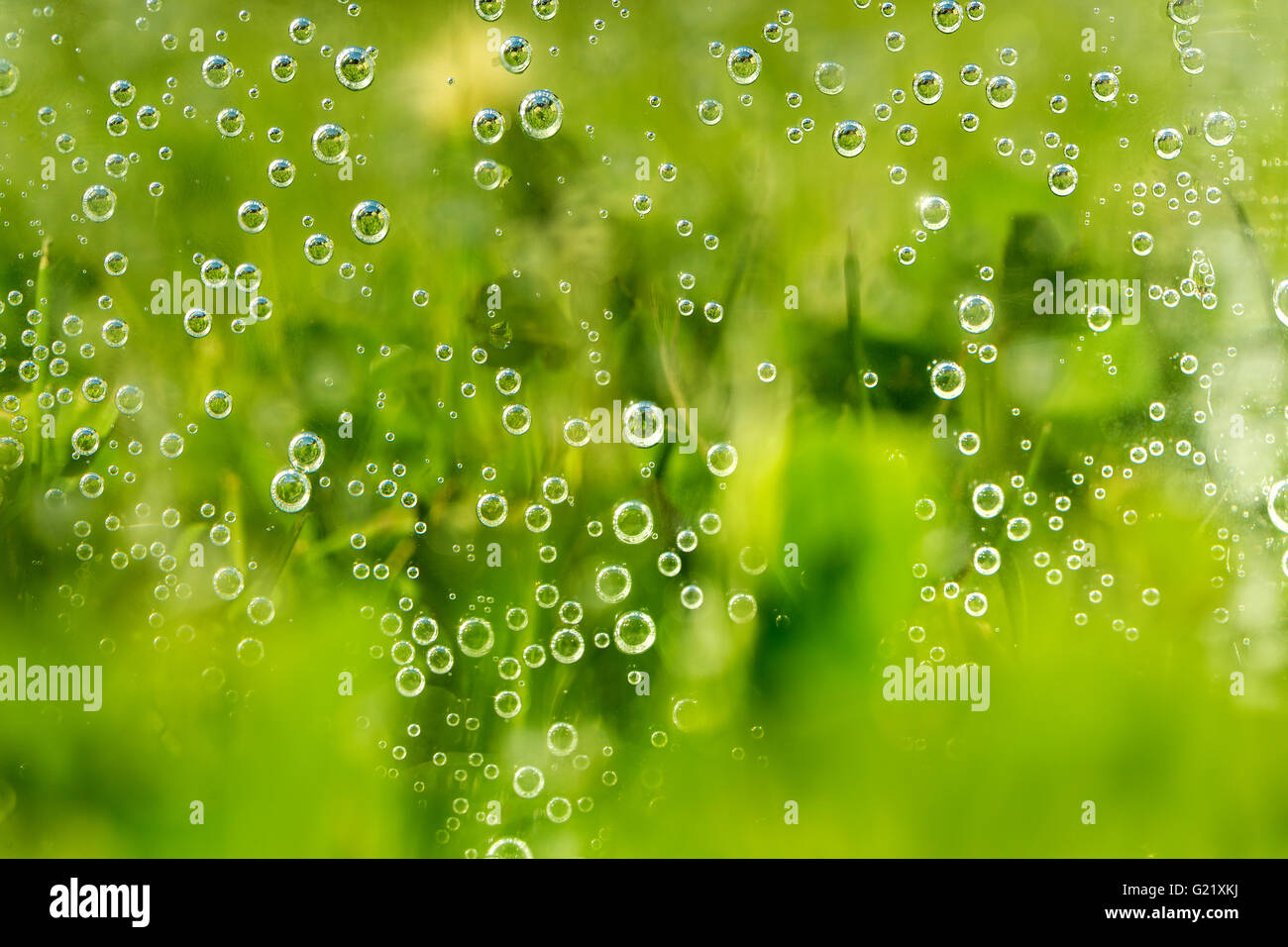 green abstract background with sparkle water drops on glass for ...