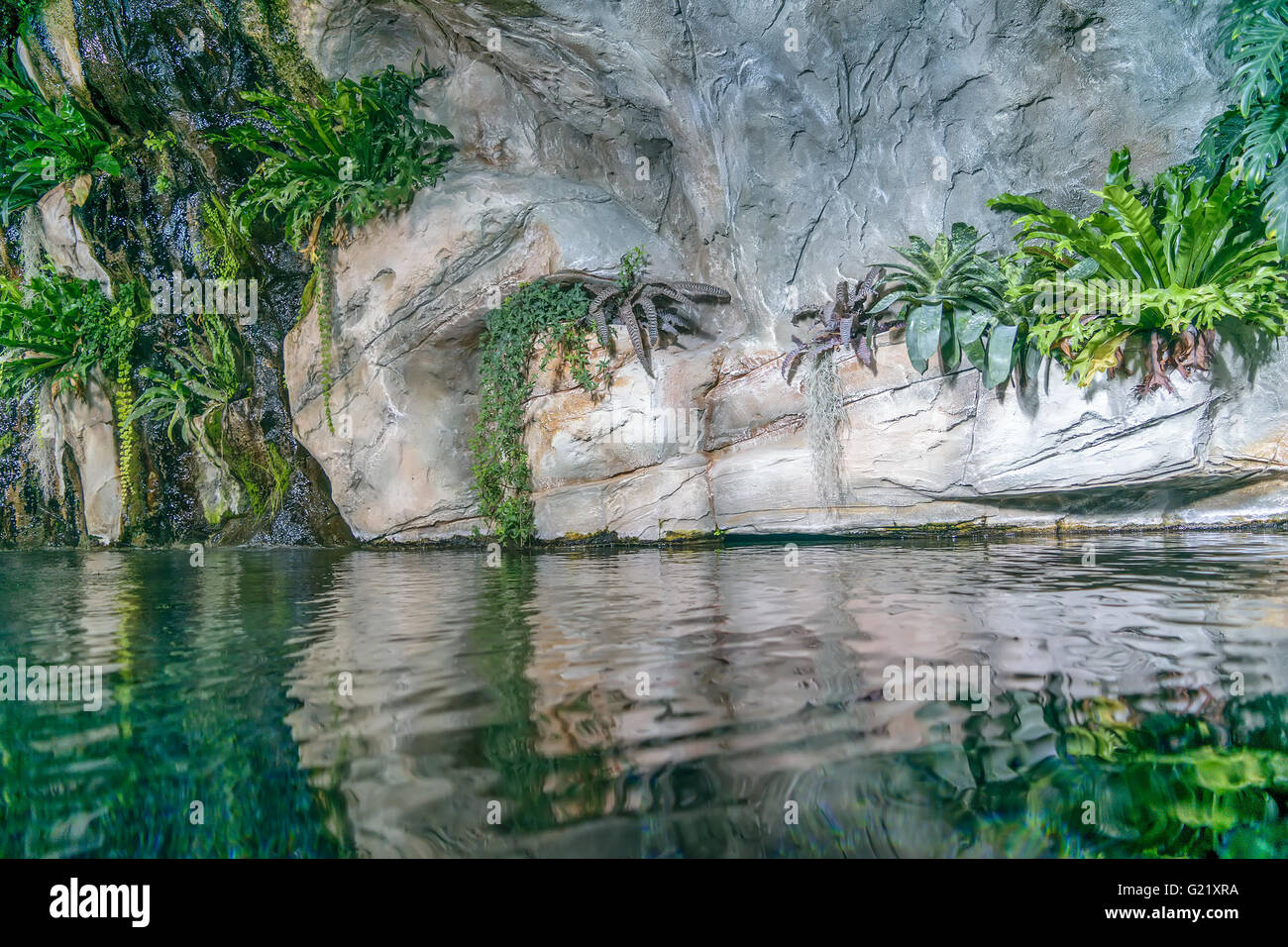 Rocky river bank with plants in the tropical forest Stock Photo - Alamy