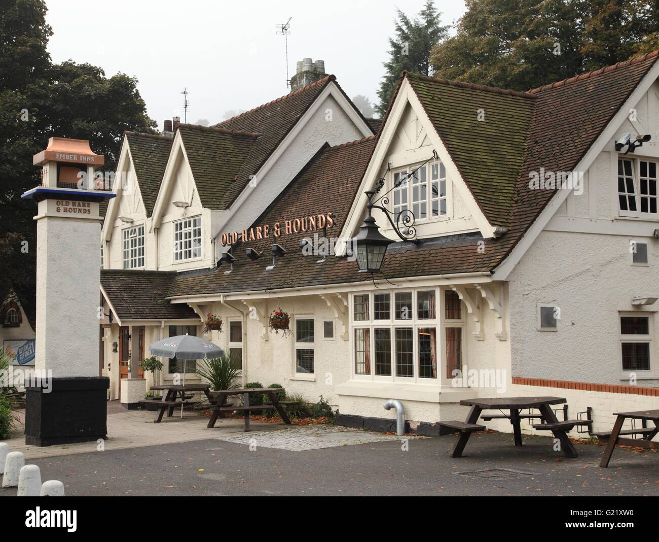 Hare and hounds hi-res stock photography and images - Alamy
