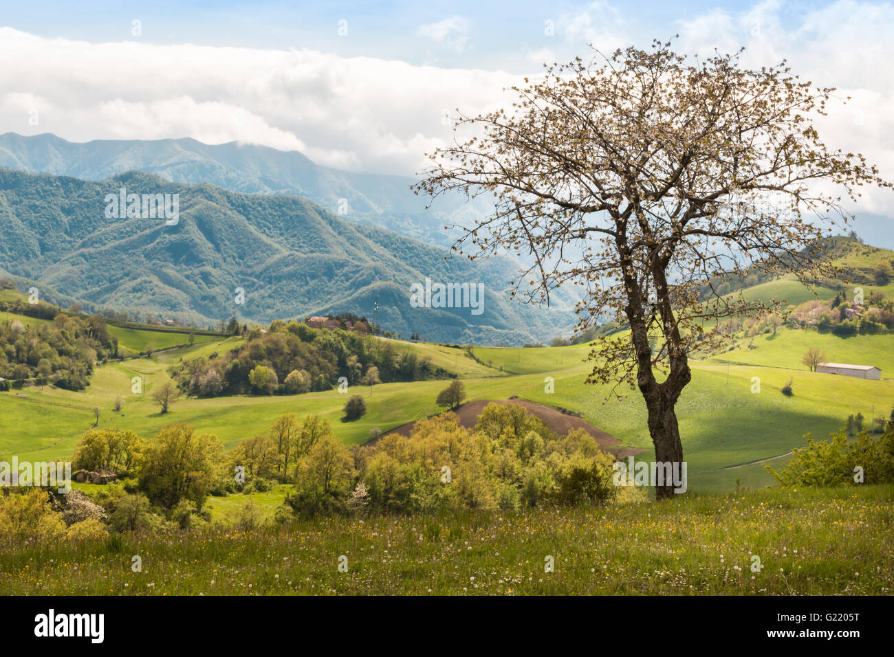 Italian countryside landscape hi-res stock photography and images - Alamy