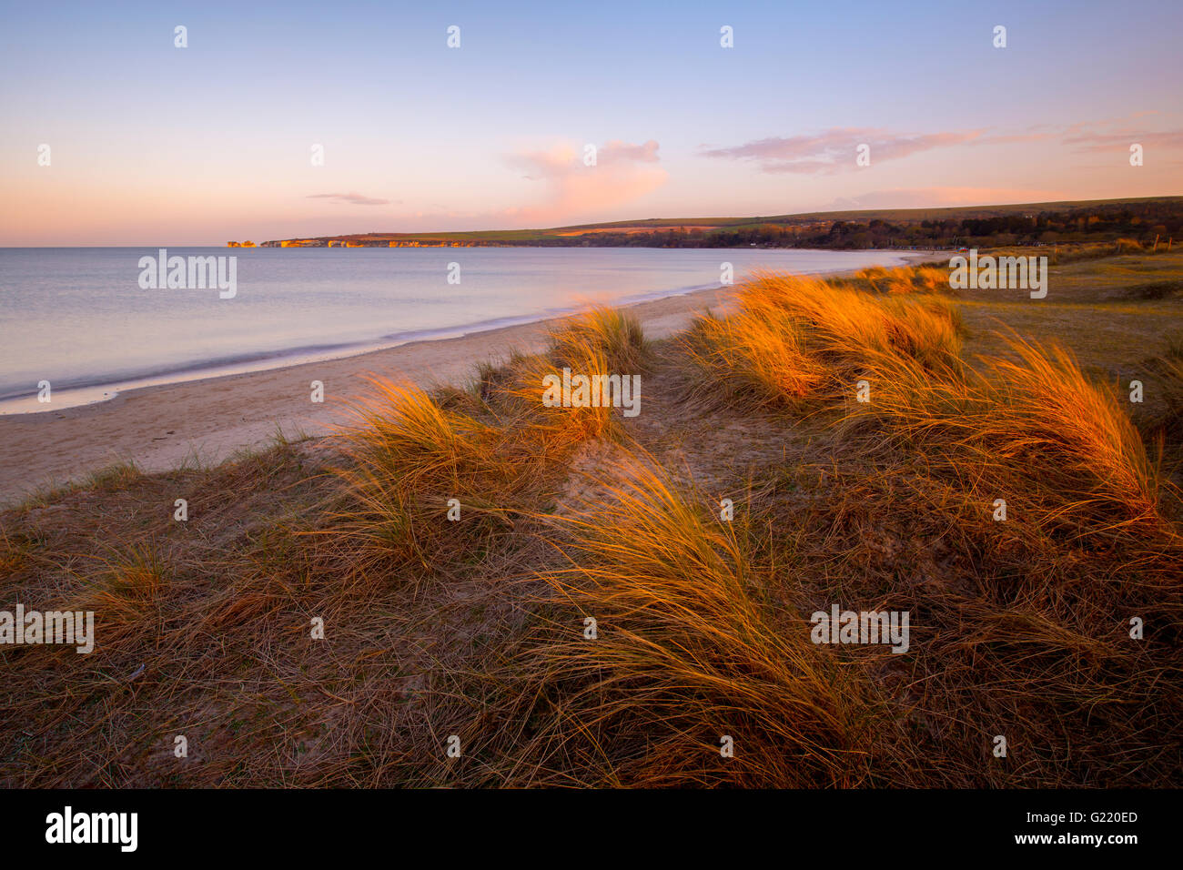 Knoll beach studland hi-res stock photography and images - Alamy