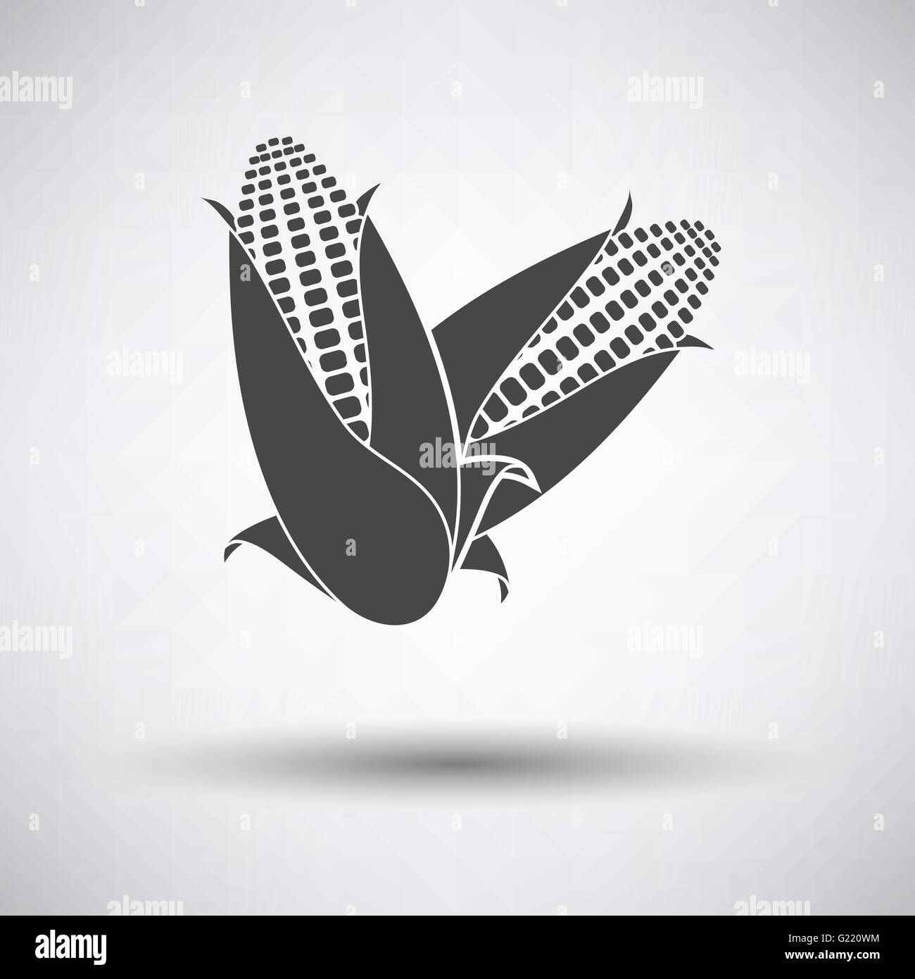 Corn icon on gray background with round shadow. Vector illustration ...