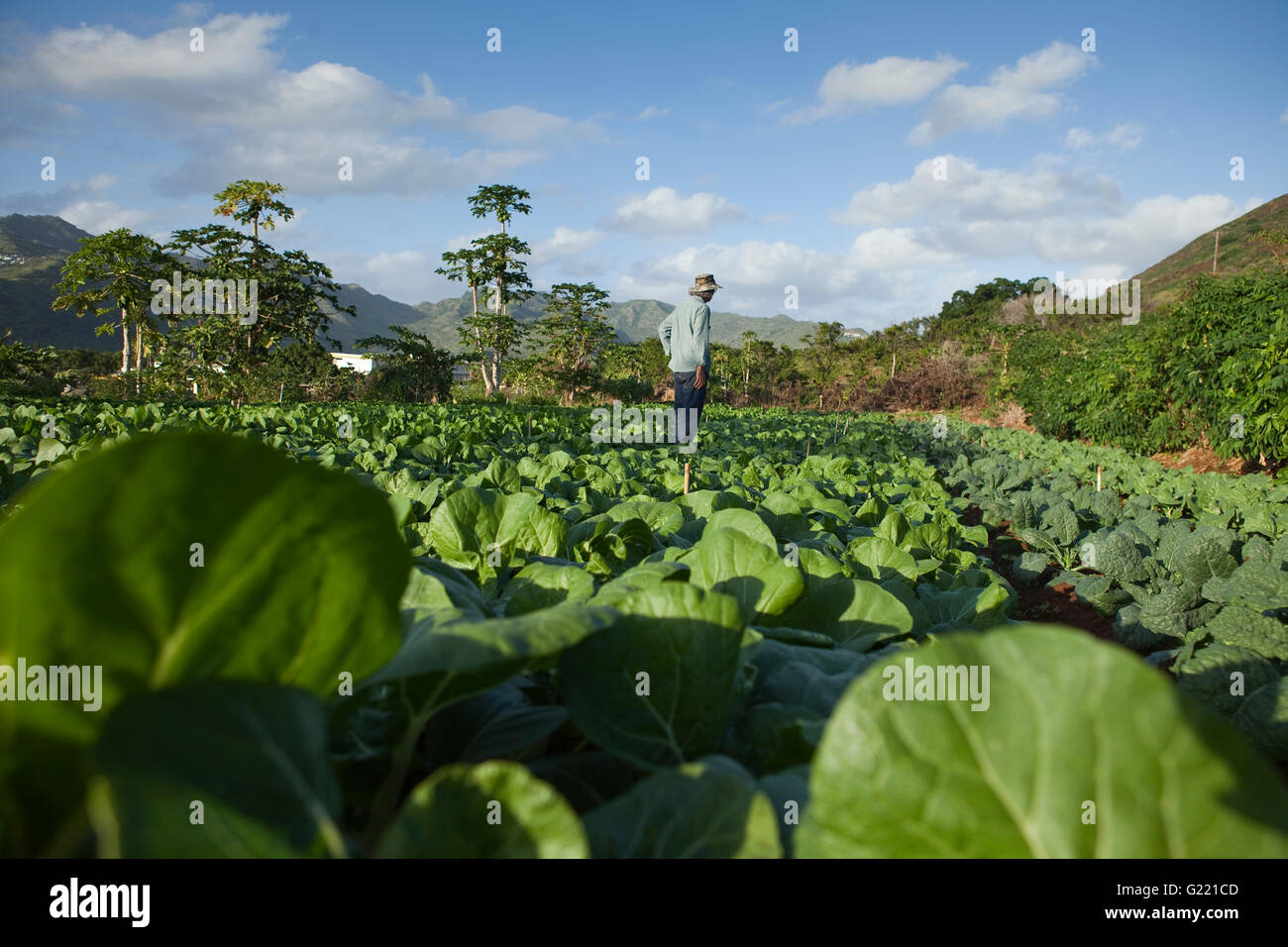 Otsuji hi-res stock photography and images - Alamy