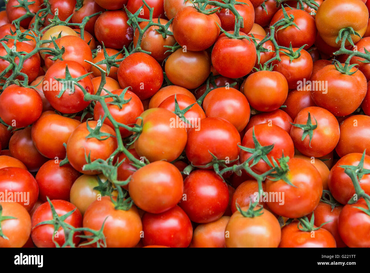 Texture many cherry tomatoes hi-res stock photography and images - Alamy
