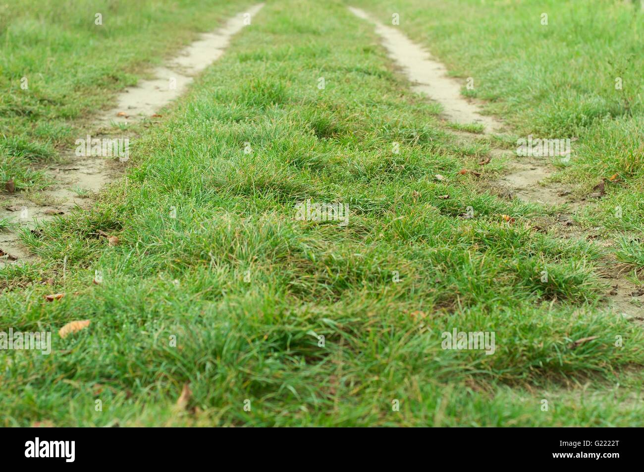 Road in the field with green grass. Natural background Stock Photo - Alamy