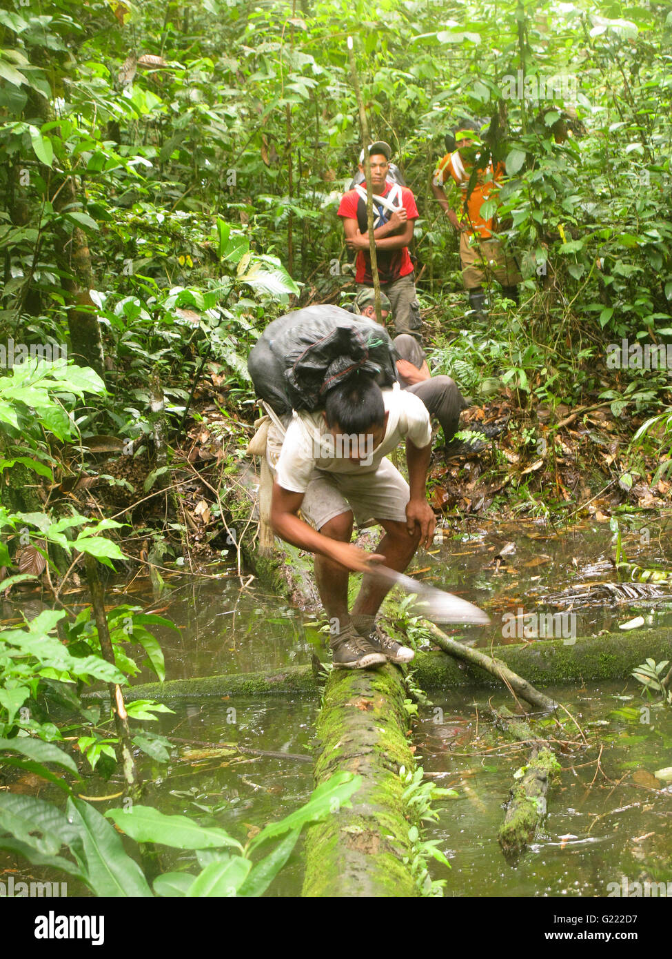 Amazon rainforest peru trek hi-res stock photography and images - Alamy